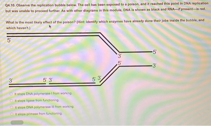 Solved: Q4.7. In DNA Replication, What Is The Difference B... | Chegg.com