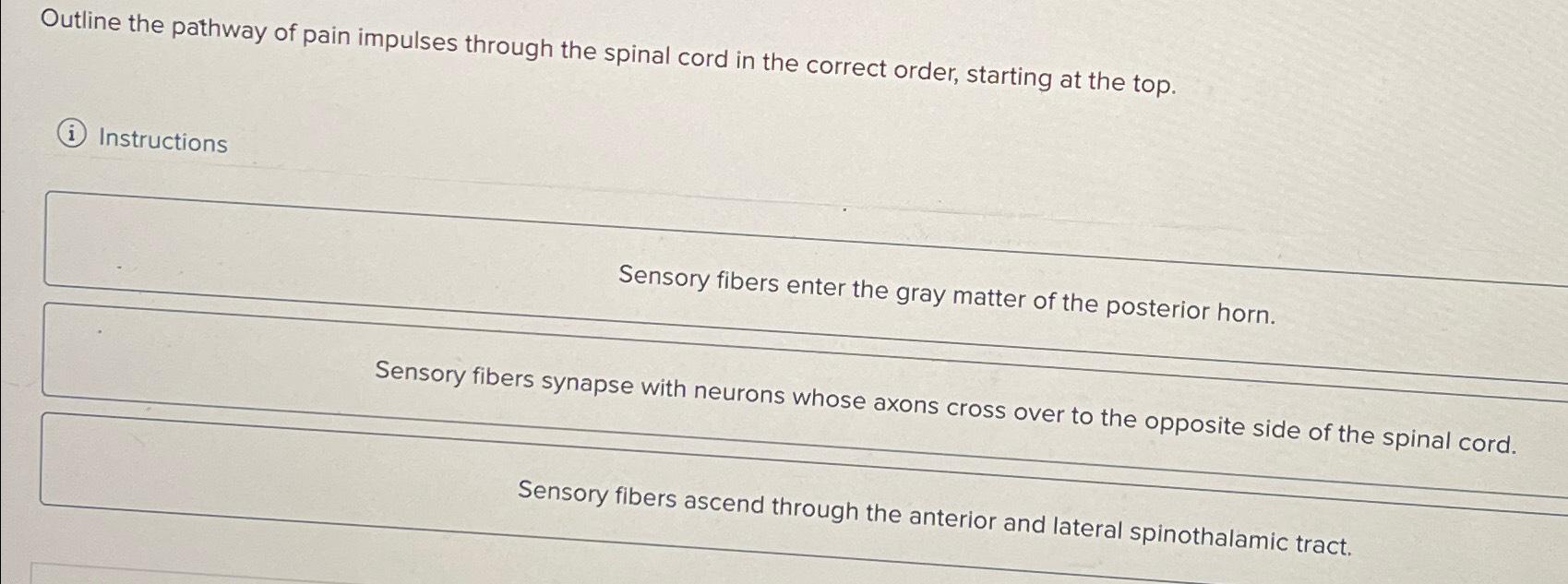 Solved Outline the pathway of pain impulses through the | Chegg.com