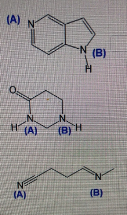 Solved Identify the more basic nitrogen atom in each | Chegg.com