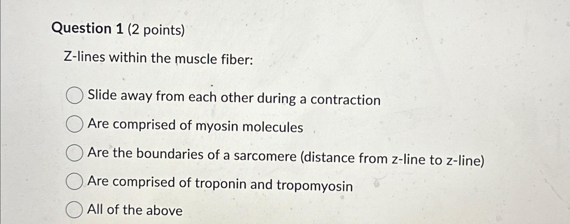 Solved Question 1 (2 ﻿points)Z-lines within the muscle | Chegg.com