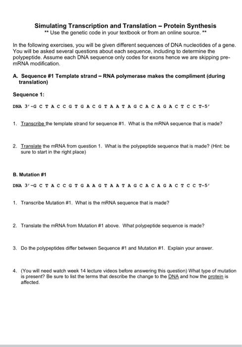 Solved Simulating Transcription and Translation - Protein | Chegg.com