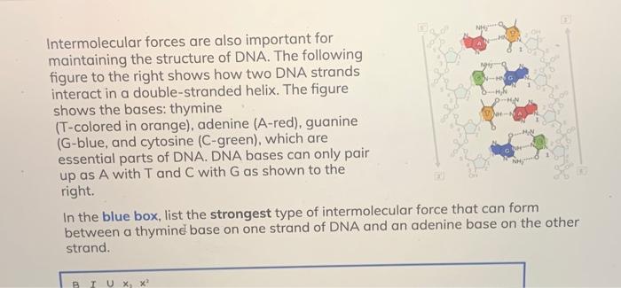 Solved 194 MON Intermolecular forces are also important for | Chegg.com