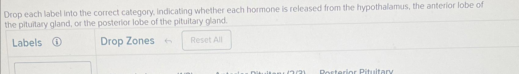 Drop each label into the correct category, indicating | Chegg.com
