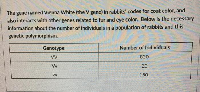 Solved The gene named Vienna White (the V gene) in rabbits' | Chegg.com