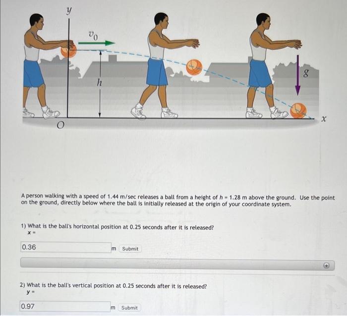 Solved A person walking with a speed of 1.44 m/sec releases | Chegg.com