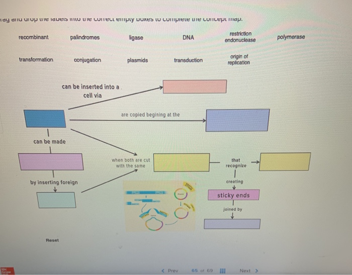 Solved Tay diluuiop ure Ideas MIU UTE LITELL emply LUXES I | Chegg.com
