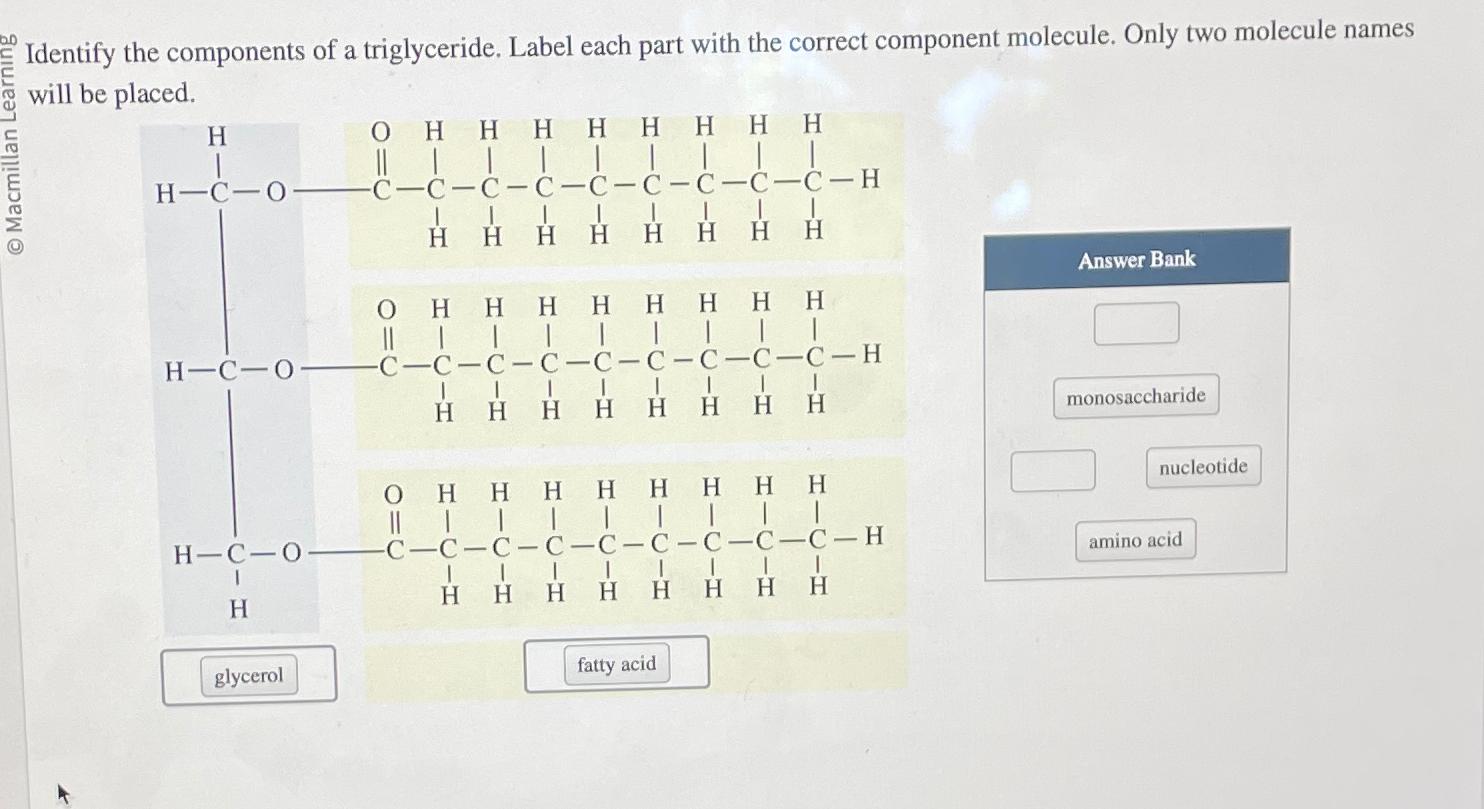 Solved Identify the components of a triglyceride. Label each | Chegg.com