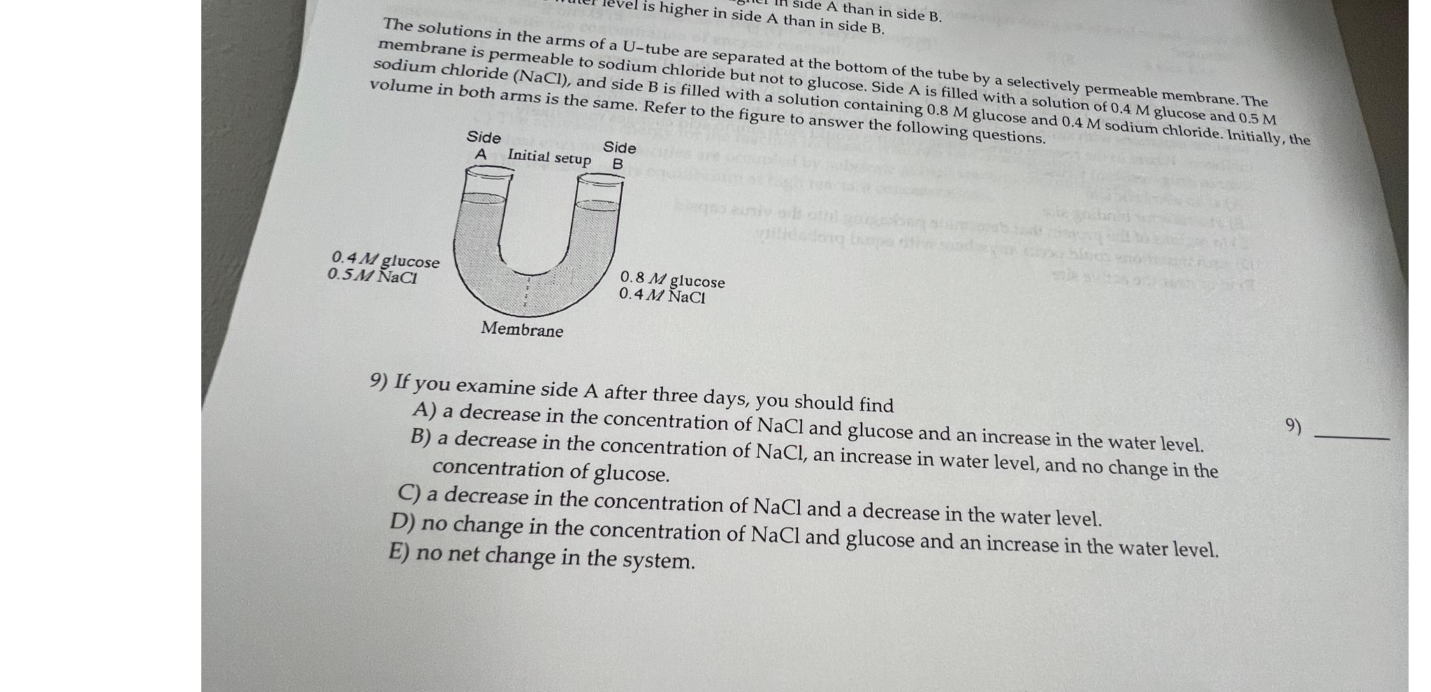 Solved than A than in side B.\\nmembrane is perm arms of a | Chegg.com