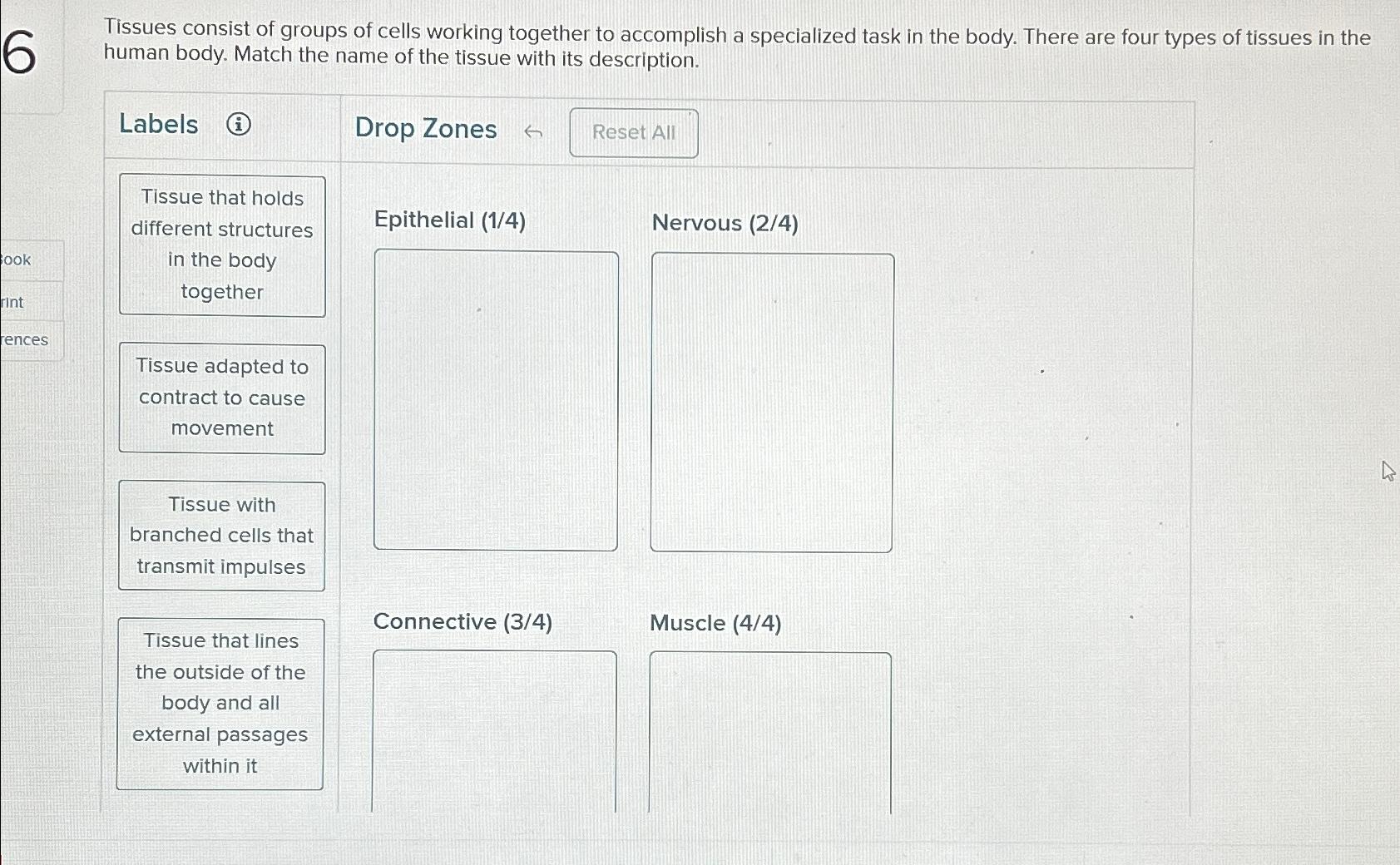 Solved Tissues consist of groups of cells working together | Chegg.com