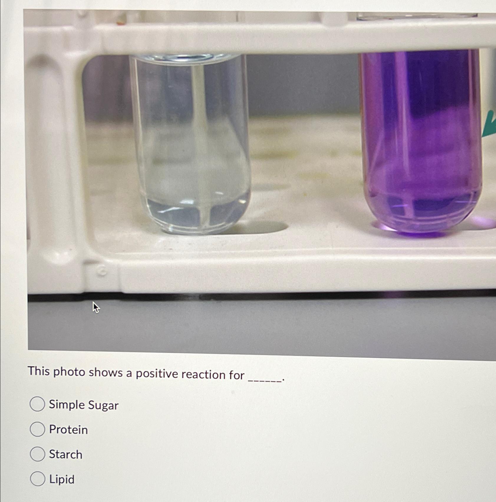 Solved This photo shows a positive reaction forSimple | Chegg.com