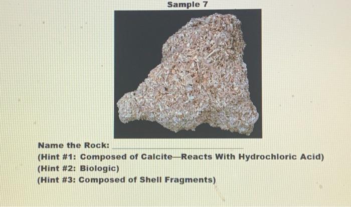 Solved Sample 6 Name the Rock: (Hint #1: Composed of | Chegg.com