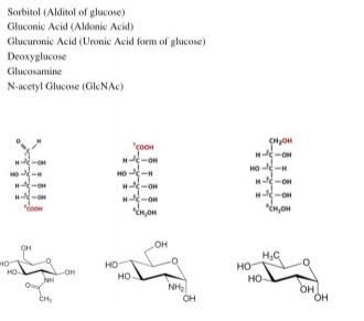 Solved Sorbitol (Alditol of glucose) Gluconic Acid (Aldonic | Chegg.com