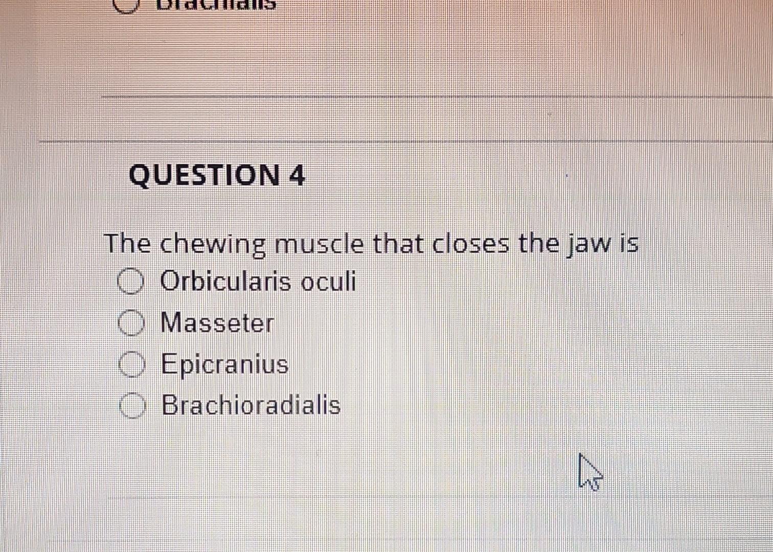 Solved The chewing muscle that closes the jaw is Orbicularis | Chegg.com