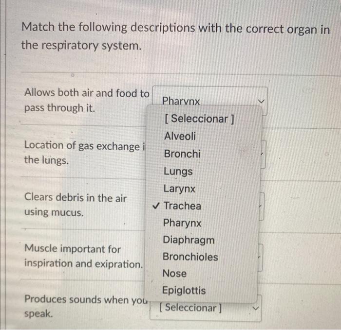 Solved Match the following descriptions with the correct | Chegg.com