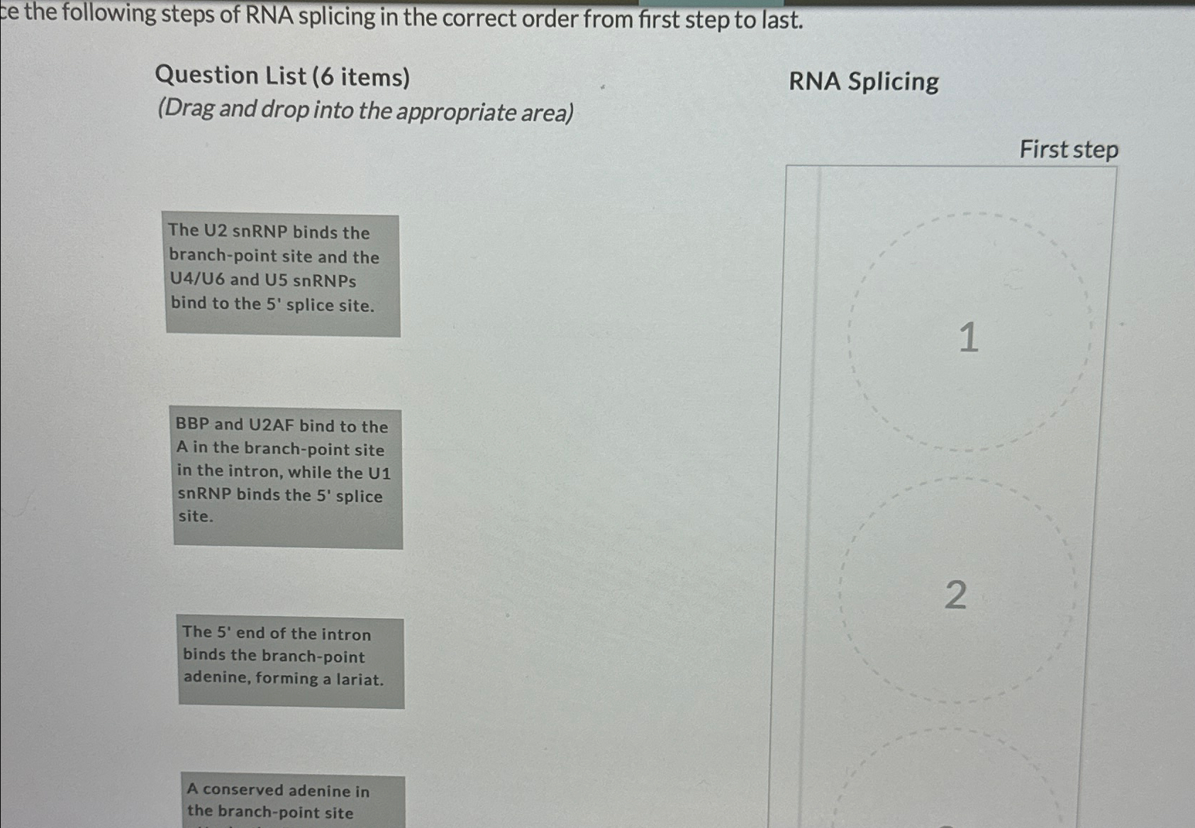 Solved te the following steps of RNA splicing in the correct | Chegg.com