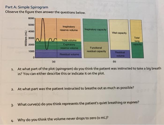 Solved Part A: Simple Spirogram Observe the figure then | Chegg.com