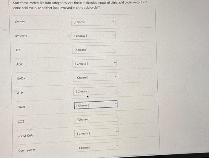 Solved Sort these molecules into categories. Are these | Chegg.com