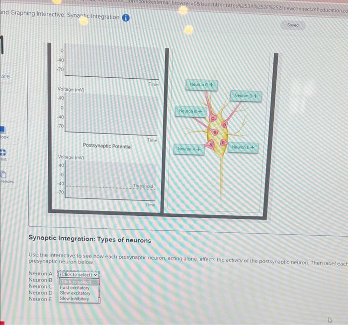 Synaptic integration allows a neuron to process | Chegg.com