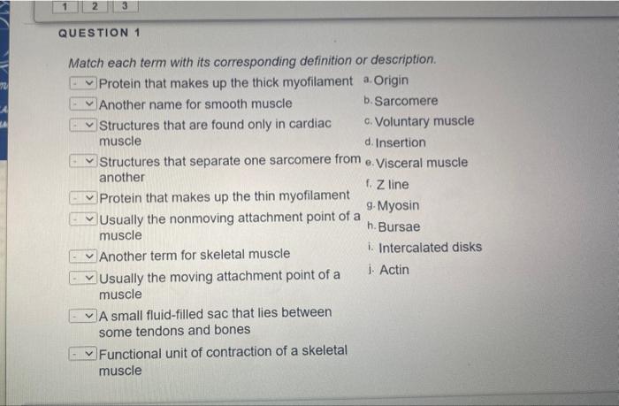 Solved Match each term with its corresponding definition or | Chegg.com