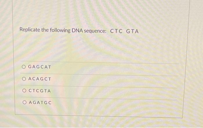 Solved Replicate the following DNA sequence: CTC GTA O | Chegg.com