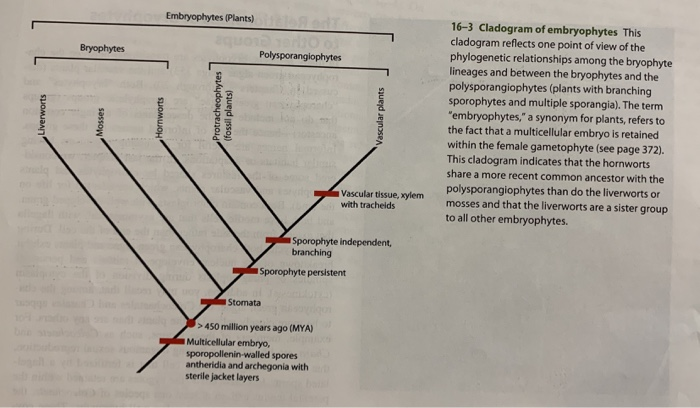 Solved 2. Study Figure 16-3. What can you conclude about | Chegg.com