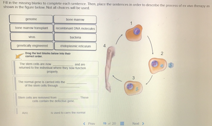 Solved Classify the following characteristics and examples | Chegg.com