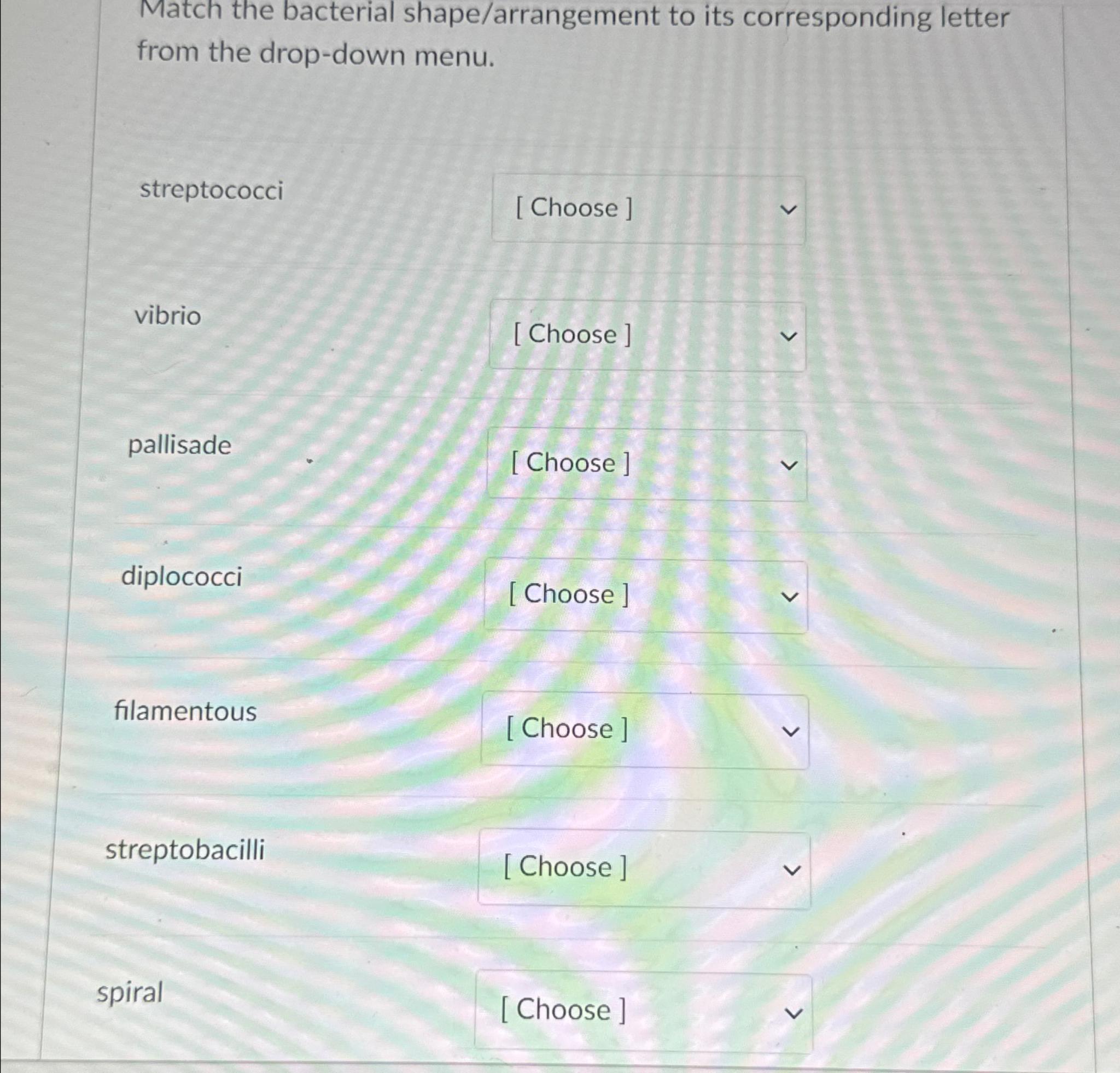 Solved Match the bacterial shape/arrangement to its | Chegg.com