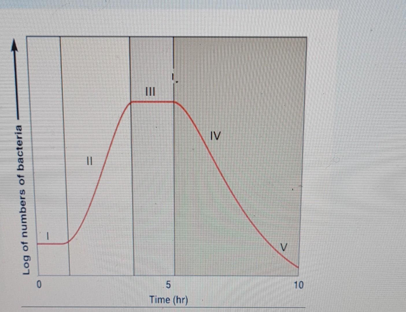 Solved Bacteria grow rapidly in culture and their growth is | Chegg.com