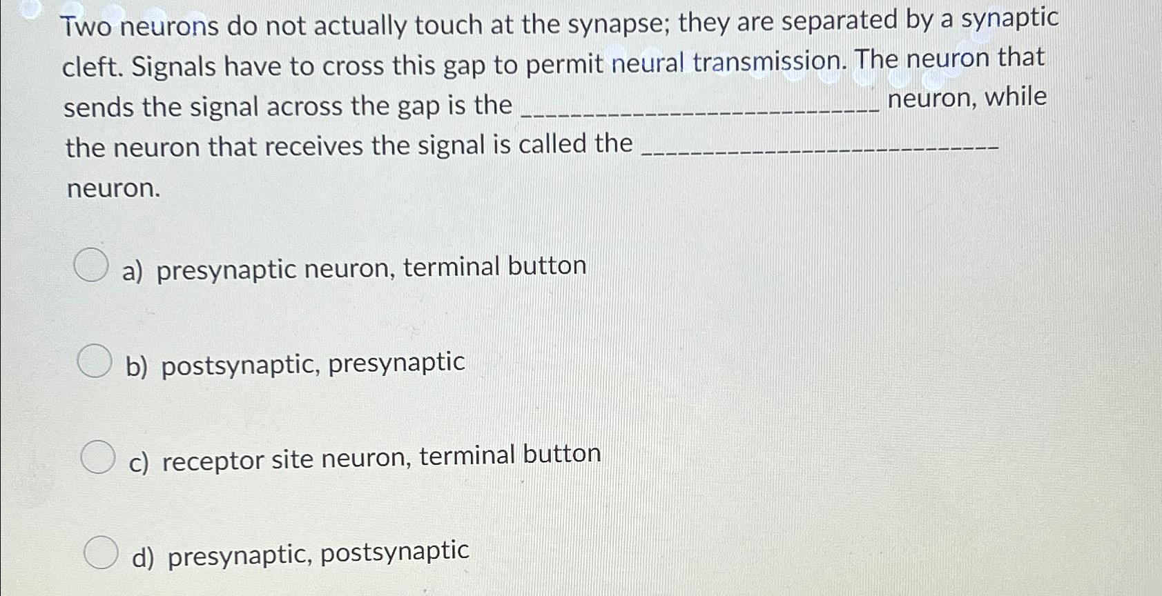 Solved Two neurons do not actually touch at the synapse; | Chegg.com