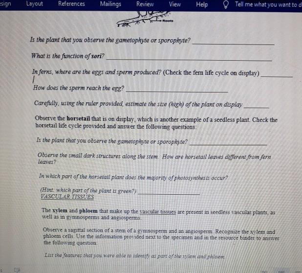 Solved Sign Layout References Mailings Review View Help Tell