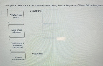 Solved Arrange the major steps in the order they occur | Chegg.com