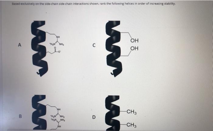 Solved Based exclusively on the side chain side-chain | Chegg.com