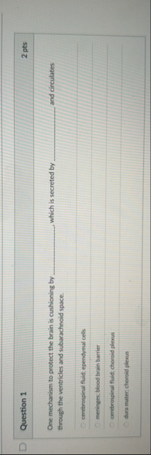 Solved Question 12 ﻿ptsOne mechanism to protect the brain is | Chegg.com