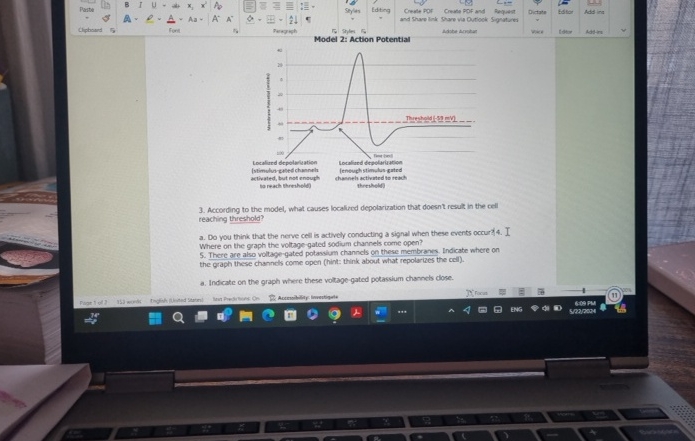 Solved According to the model, what causes localized | Chegg.com
