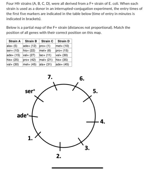 Solved Four Hfr strains (A, B, C, D), were all derived from | Chegg.com
