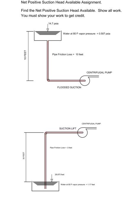 Solved Net Positive Suction Head Available Assignment. | Chegg.com