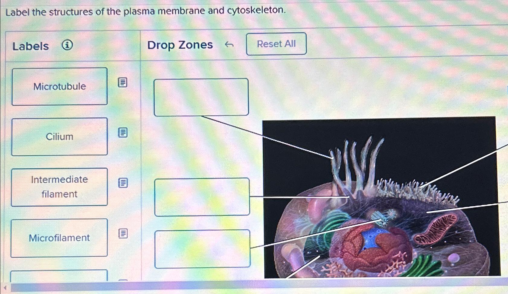 Solved Label the structures of the plasma membrane and | Chegg.com