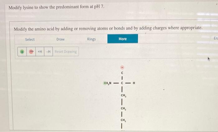 Solved Modify lysine to show the predominant form at pH 7. | Chegg.com