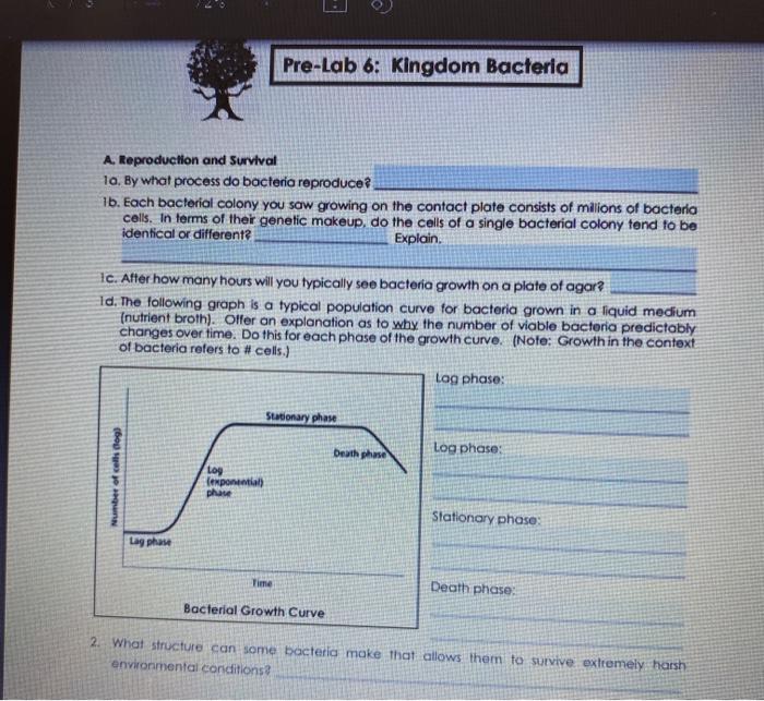 Solved Pre-Lab 6: Kingdom Bacteria A. Reproduction and | Chegg.com