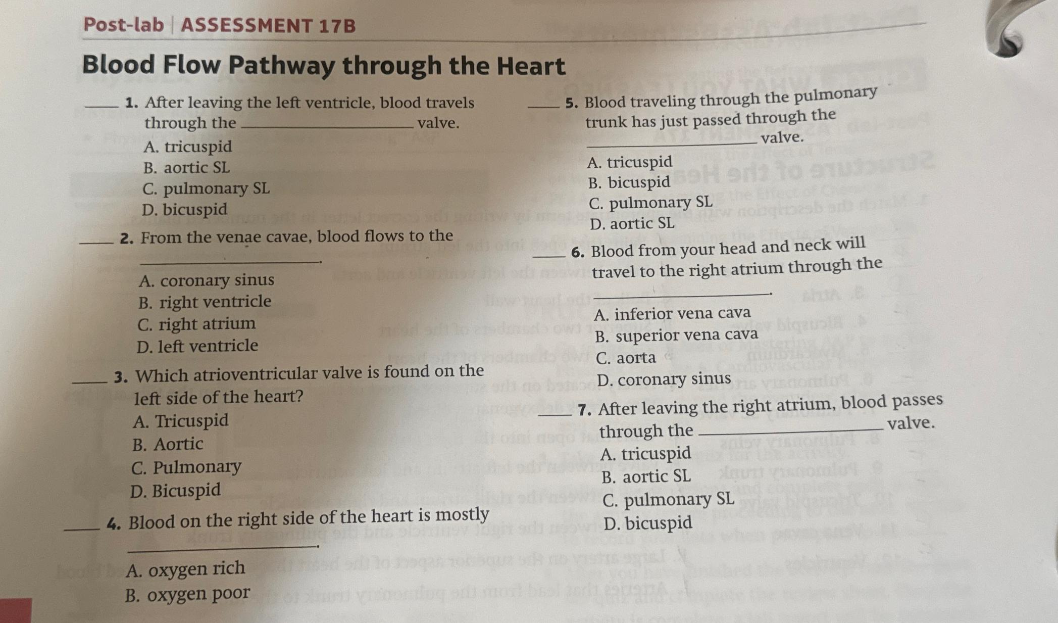 Solved Post-lab | ﻿ASSESSMENT 17BBlood Flow Pathway through | Chegg.com