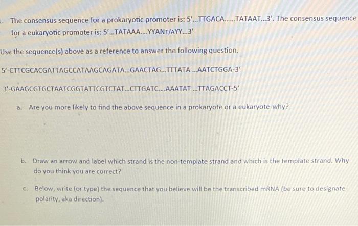 Solved . The consensus sequence for a prokaryotic promoter | Chegg.com