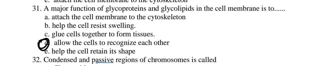 Solved A Major Function Of Glycoproteins And Glycolipids In