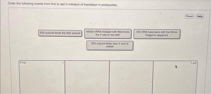 Solved Order the following events from first to last in | Chegg.com