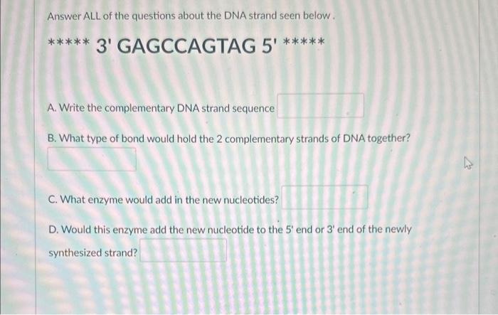 Solved Answer ALL of the questions about the DNA strand seen | Chegg.com