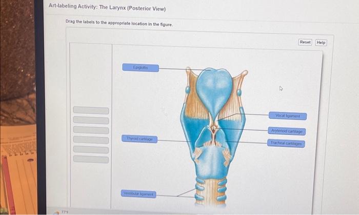 Solved please help me, I want to make sure my answer is | Chegg.com