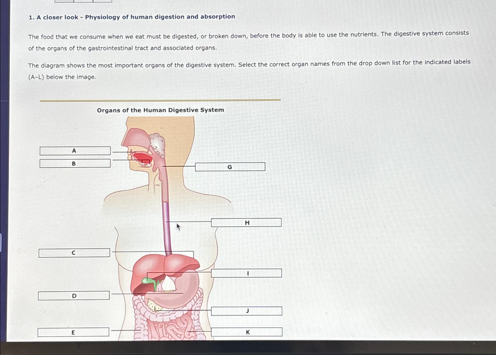 Solved A closer look - ﻿Physiology of human digestion and | Chegg.com