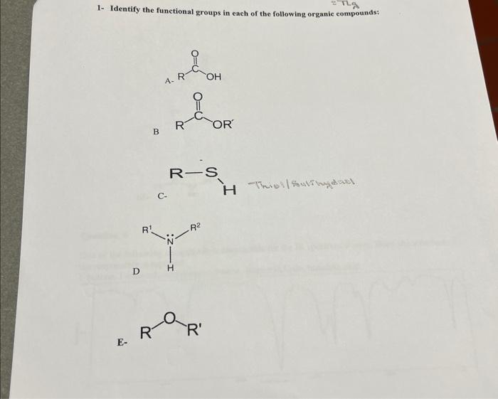 Solved 1- Identify the functional groups in each of the | Chegg.com