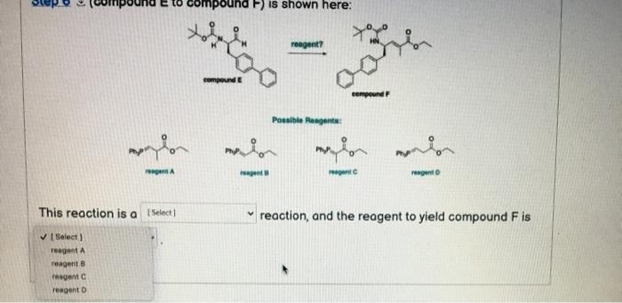 Solved Steps 4 & 5 are shown here: SO patico NON BOH | Chegg.com