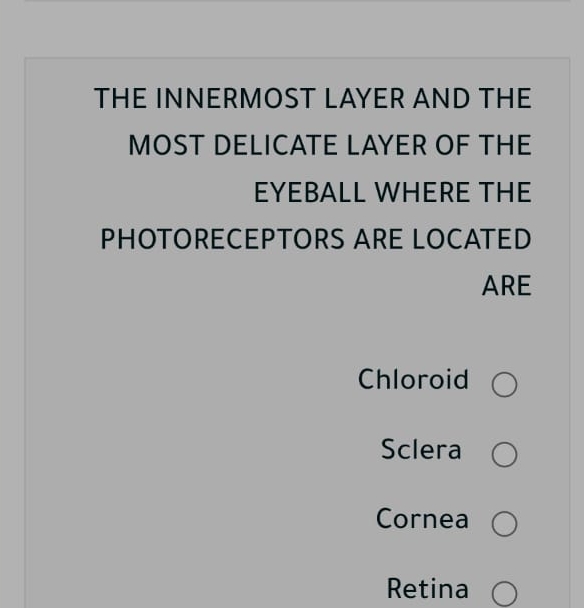 Solved THE INNERMOST LAYER AND THEMOST DELICATE LAYER OF | Chegg.com