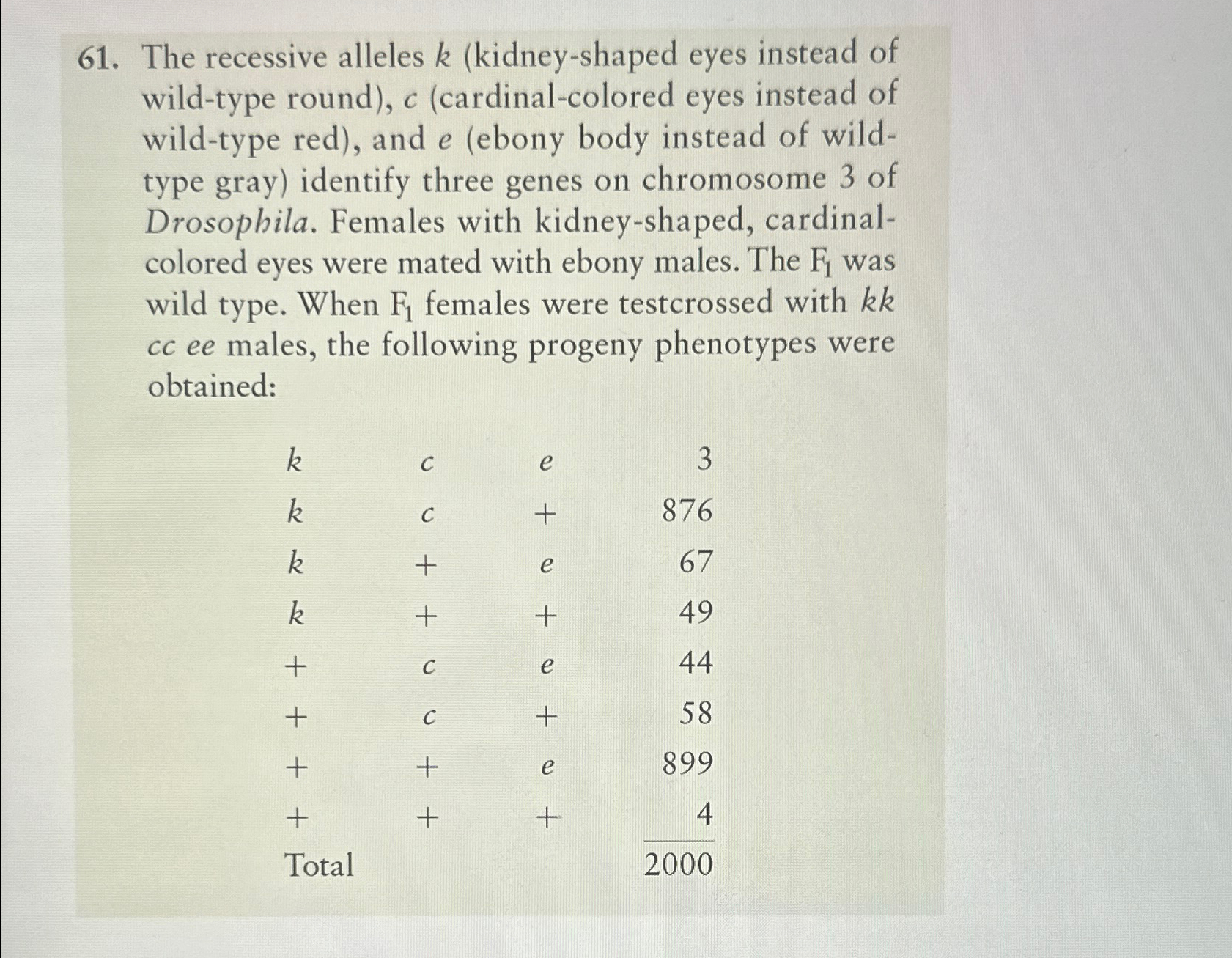 Solved The recessive alleles k (kidney-shaped eyes instead | Chegg.com